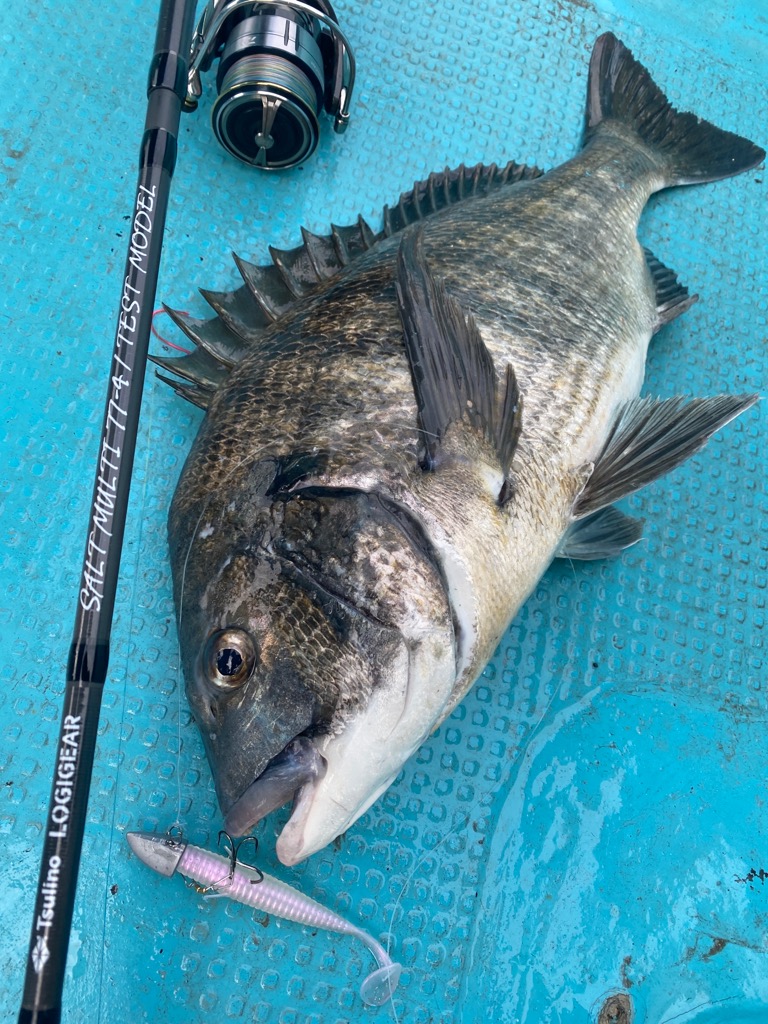 SW FINESSE SHAD【3.5インチシャッドテールワーム/ソルトルアーフィッシング】 | イシグロ公式オンラインショップ