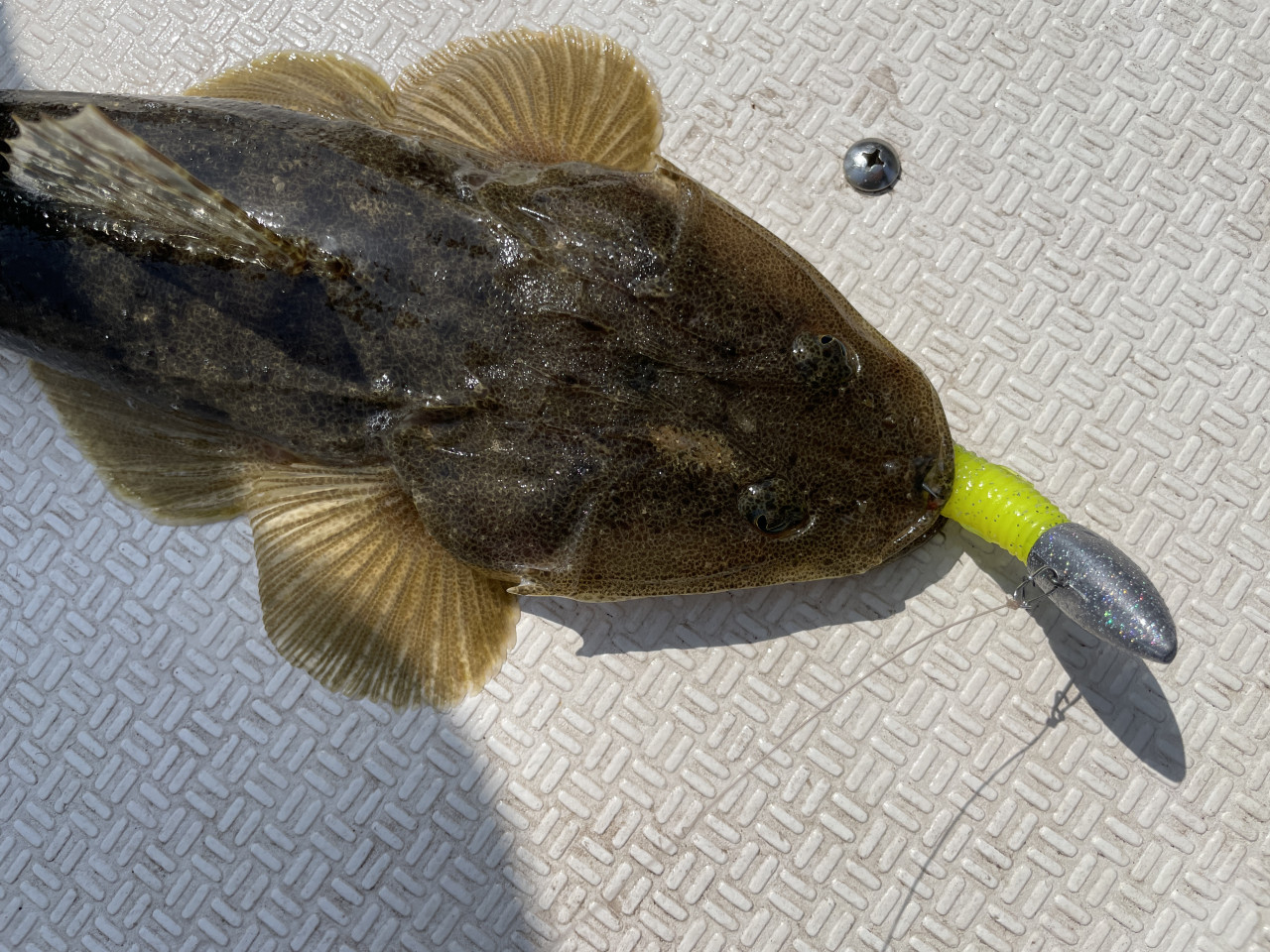 MAGIC EXTRA FISH OIL【魚油系集魚剤】 | イシグロ公式オンラインショップ