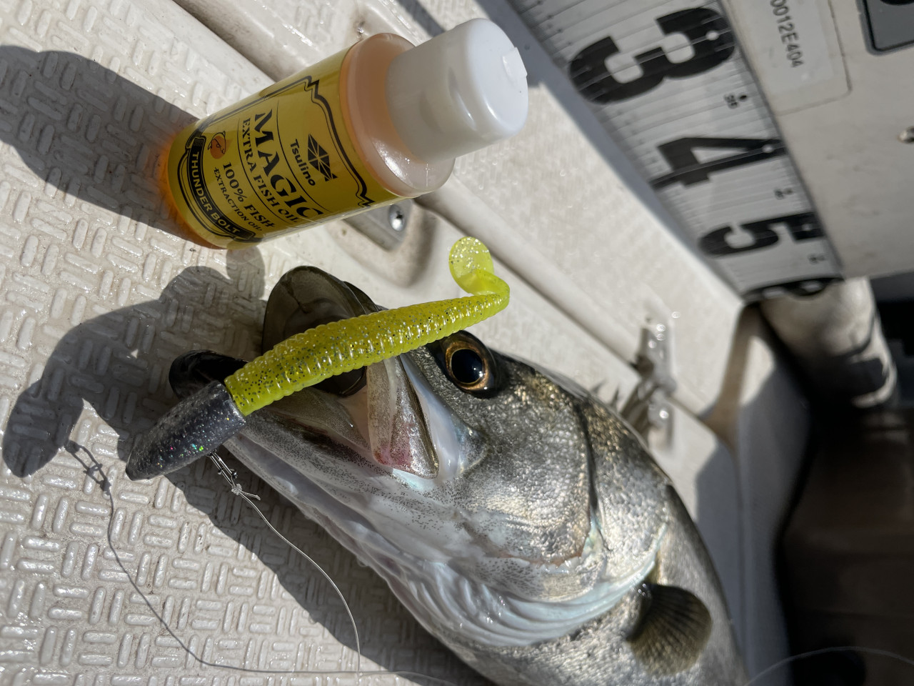 MAGIC EXTRA FISH OIL【魚油系集魚剤】 | イシグロ公式オンラインショップ