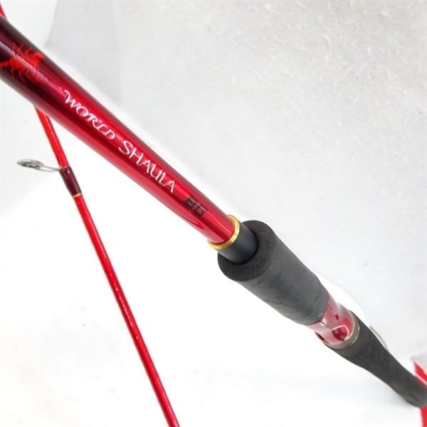 20ワールドシャウラBG 2953R-3 | イシグロ公式オンラインショップ